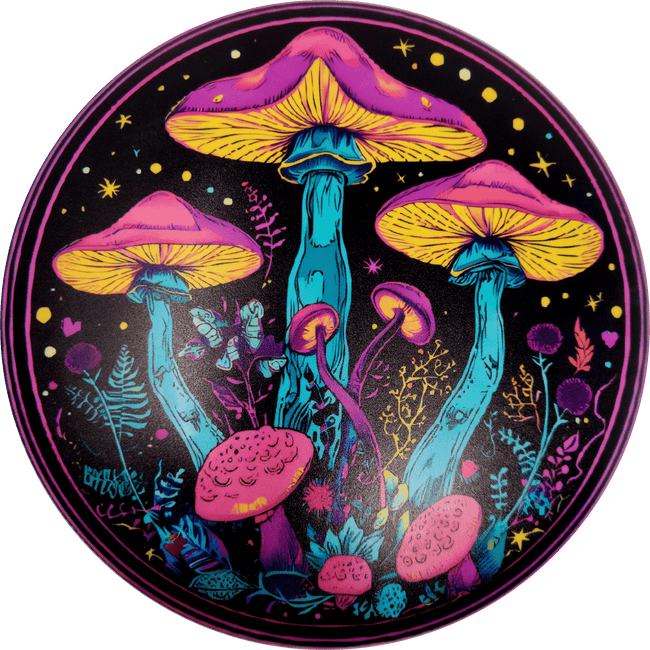 Disc Golf Swag | Custom Discs | Full Color | Upload Any Design