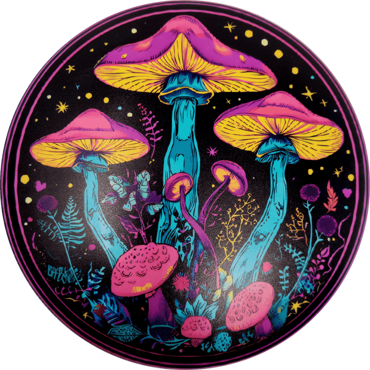 Disc Golf Swag | Custom Discs | Full Color | Upload Any Design