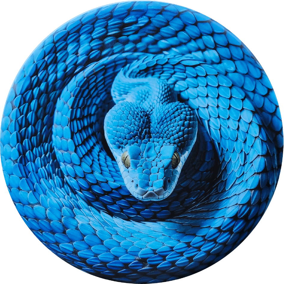 Disc Golf Swag | Custom Discs | Full Color | Upload Any Design